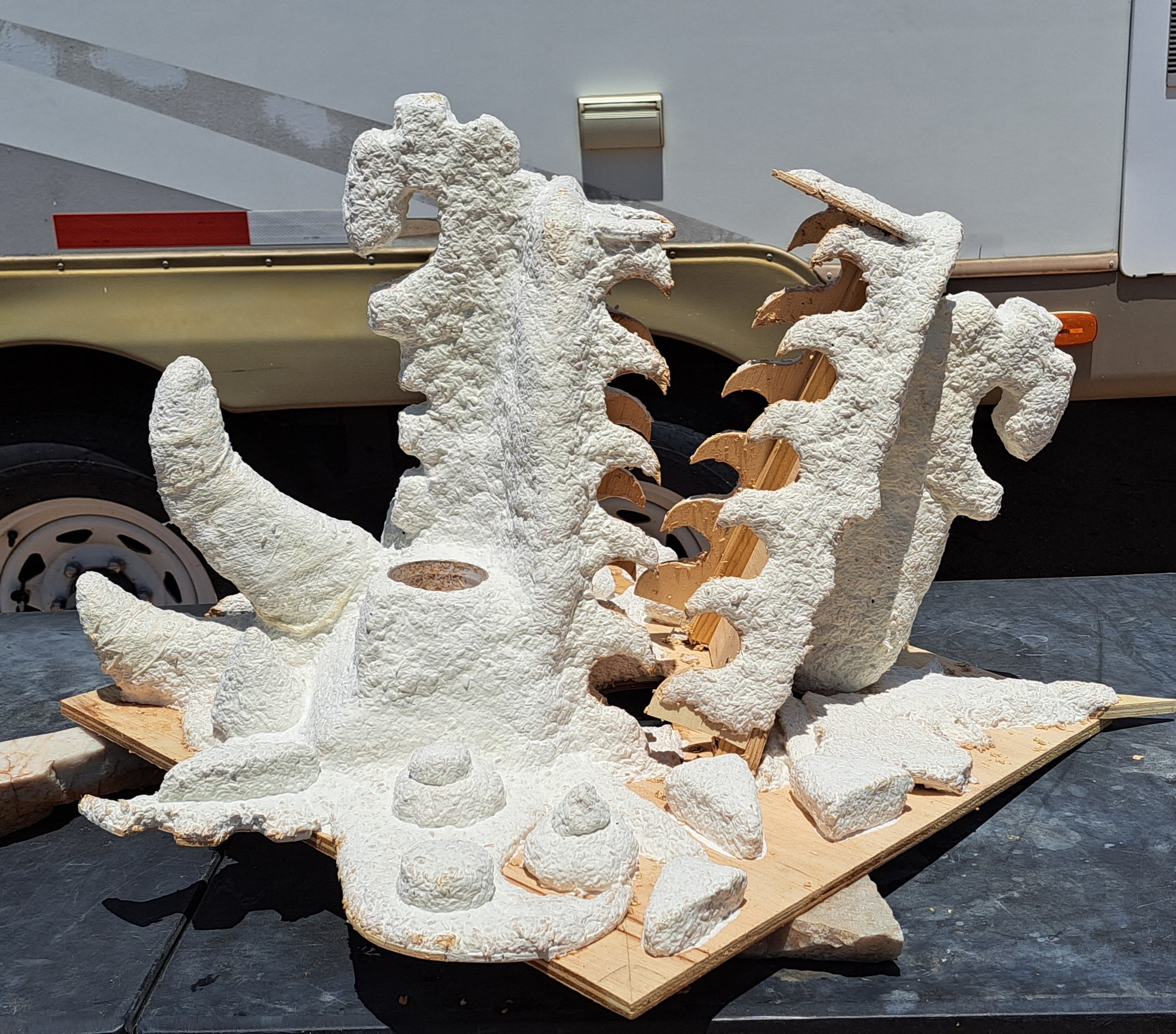 Summer Fun Activities with Mycelium! – Grow.bio