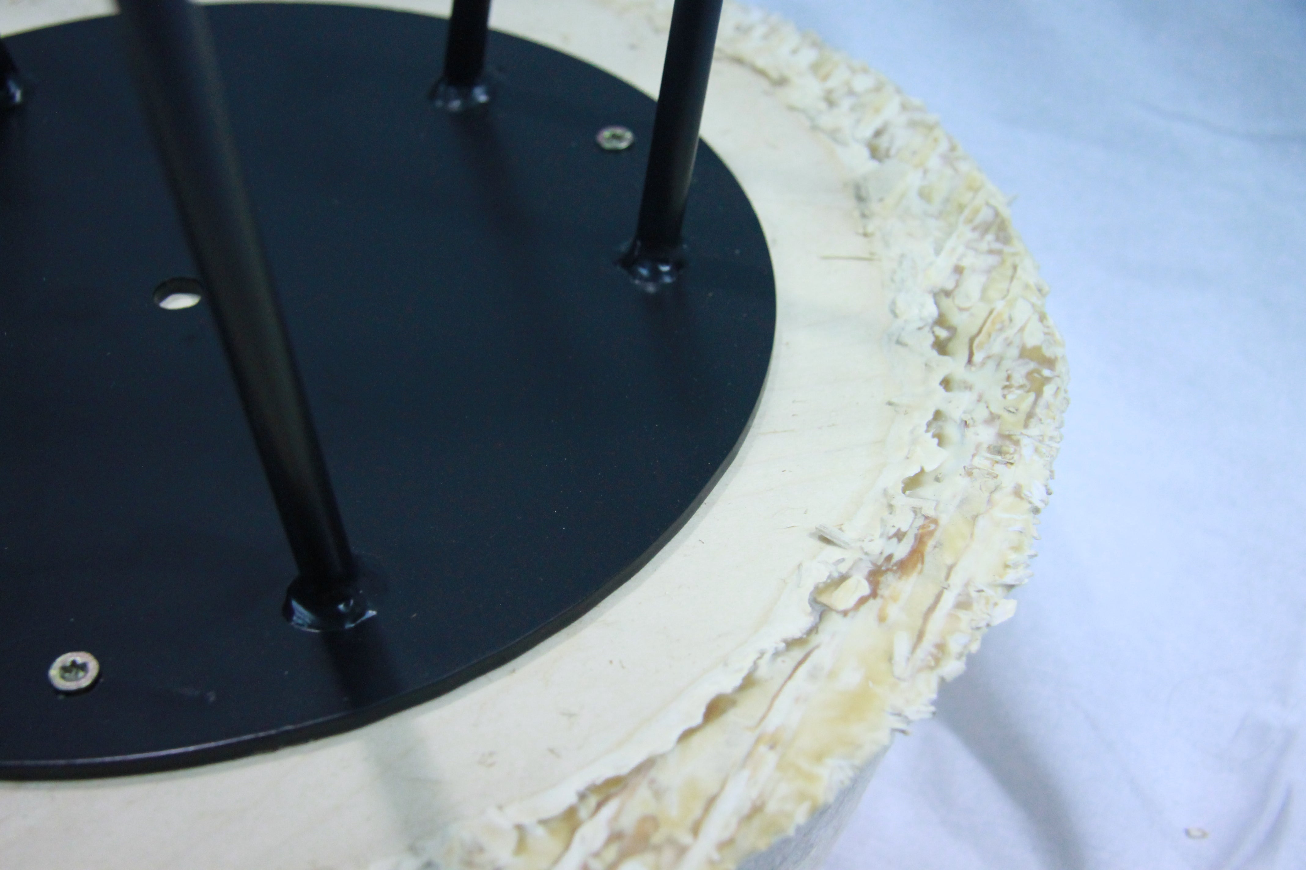 How To Grow Mycelium Into Wood – Grow.bio
