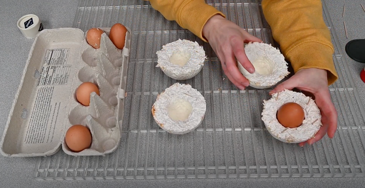 Innovative Science Fair Projects with Grow.bio's GIY Mycelium Material