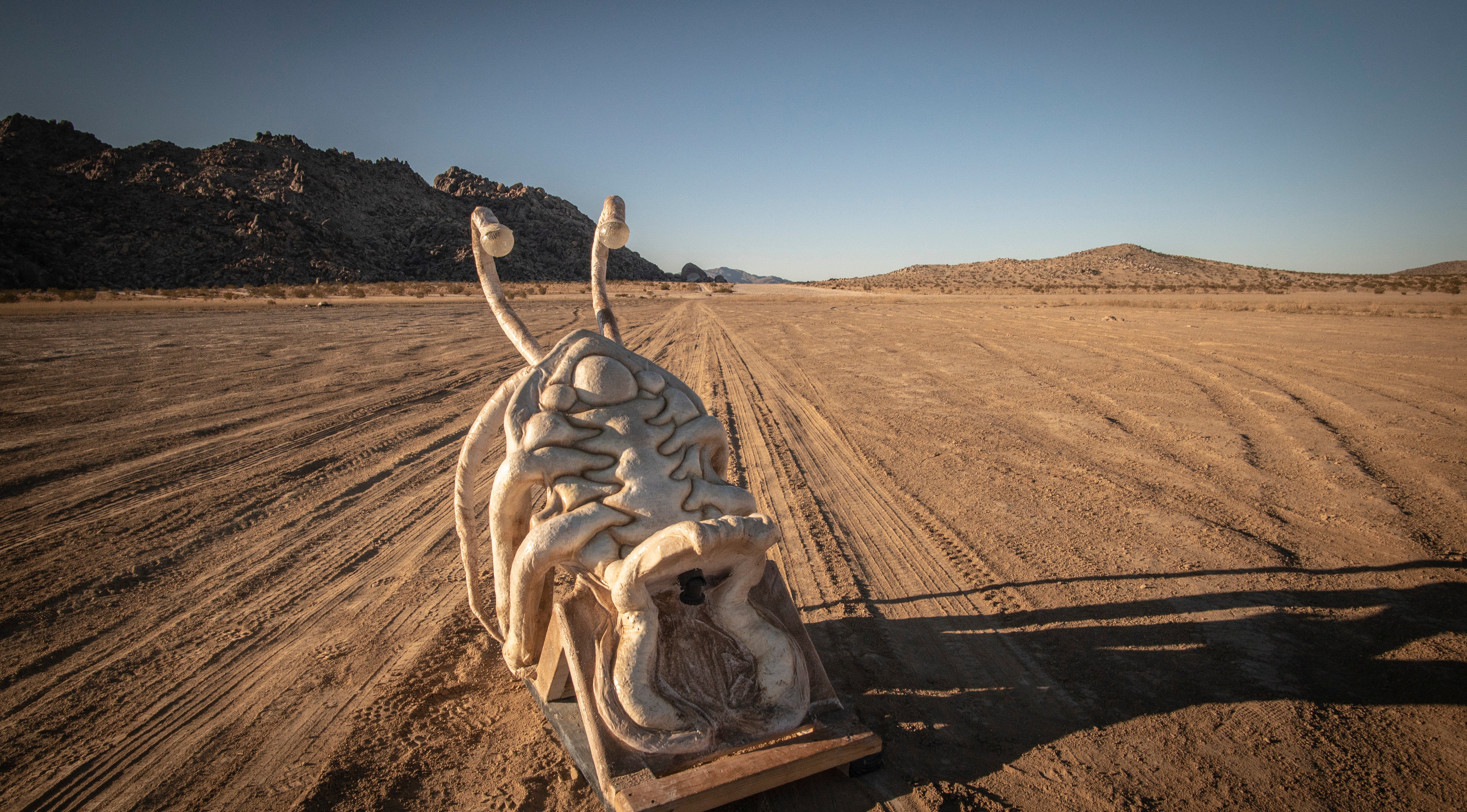 GIY Maker Spotlight: Iyvone Khoo – Grow.bio