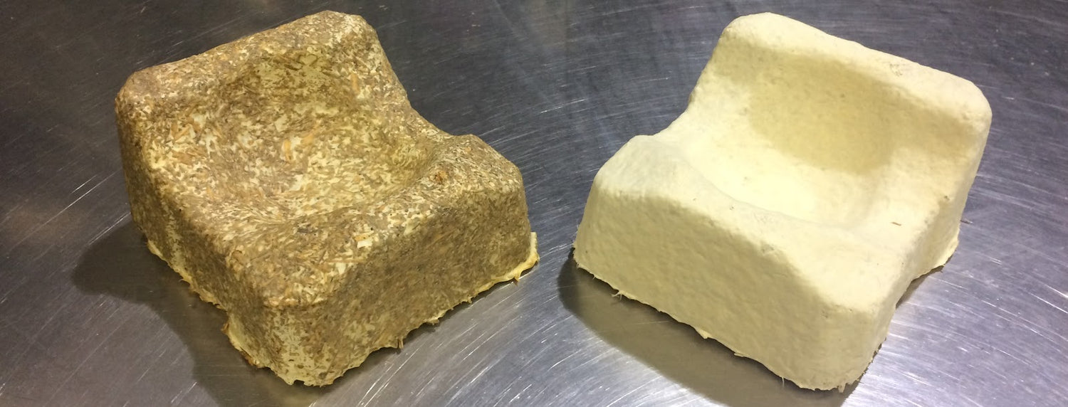 How to Make Your Own Incubation Pod for After-Growth – Grow.bio