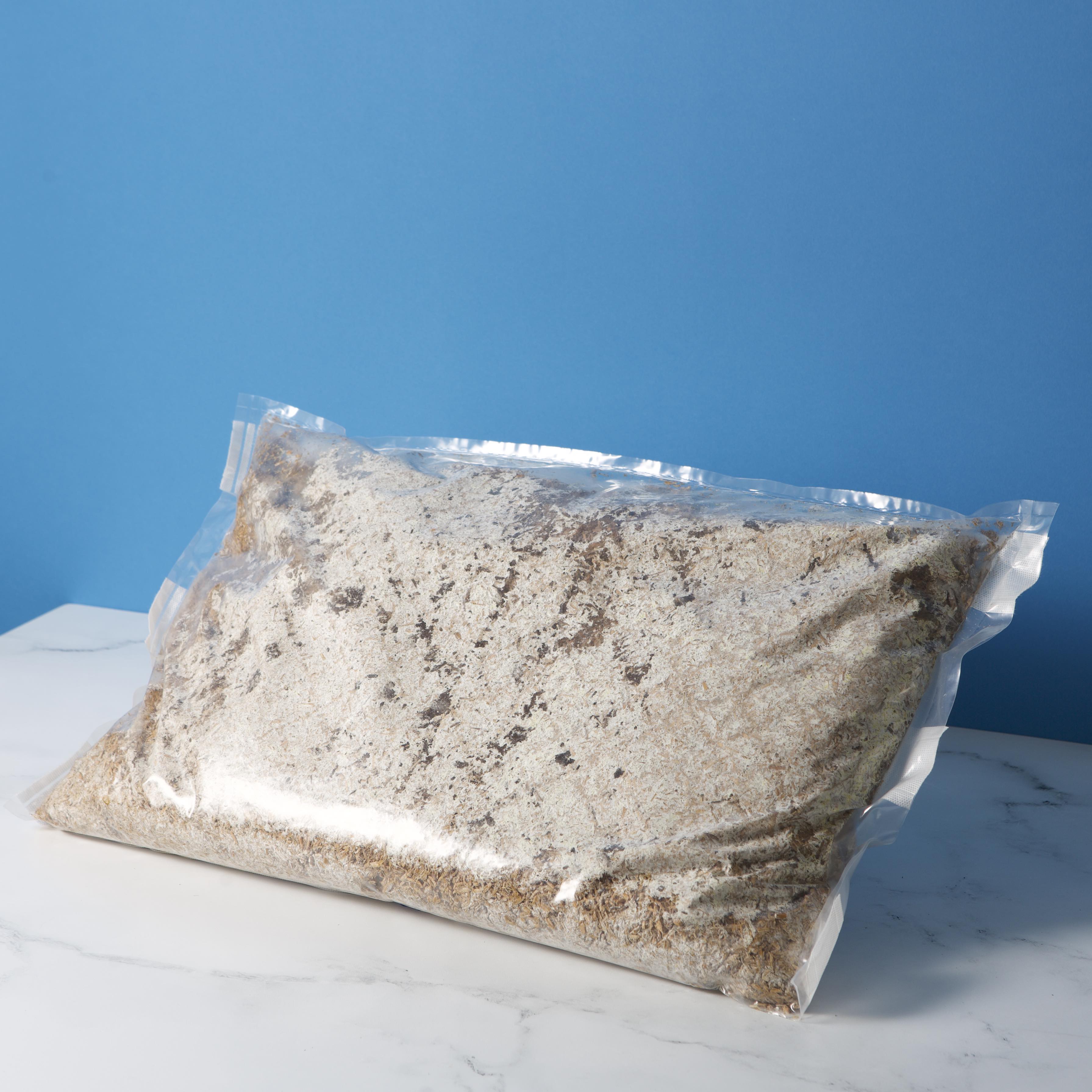 Mycelium Material – Grow.bio