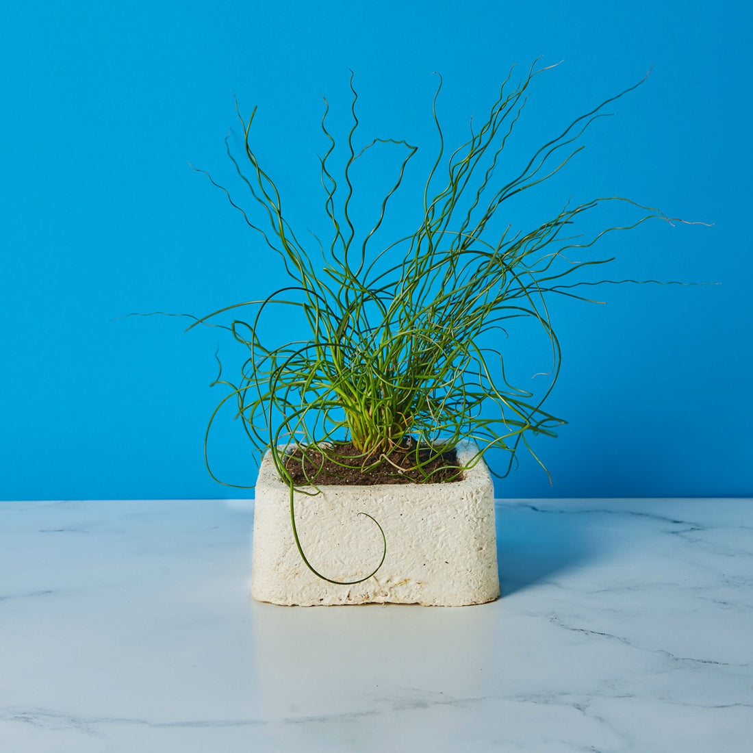 All Products – Grow.bio